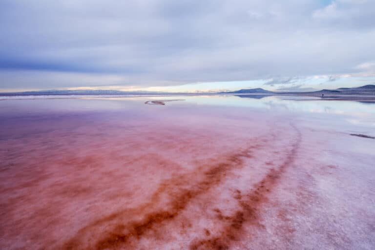 Uncover the Secrets of The Great Salt Lake