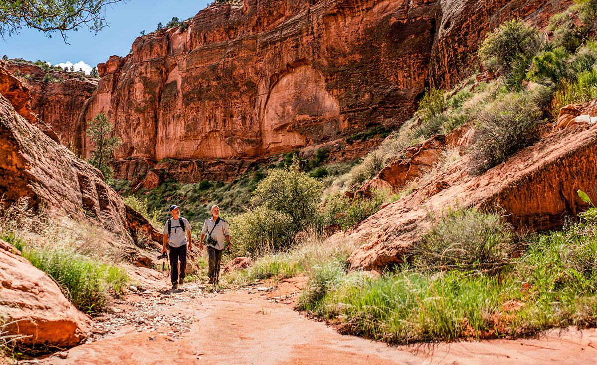 Bob Grove - Utah Guide